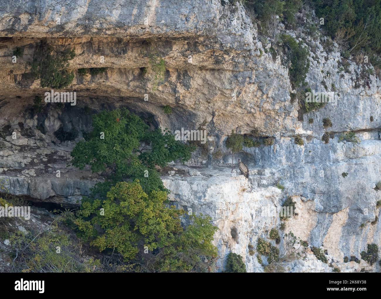 rocky outcrops and caves that are home to Spanish Griffon vultures ...