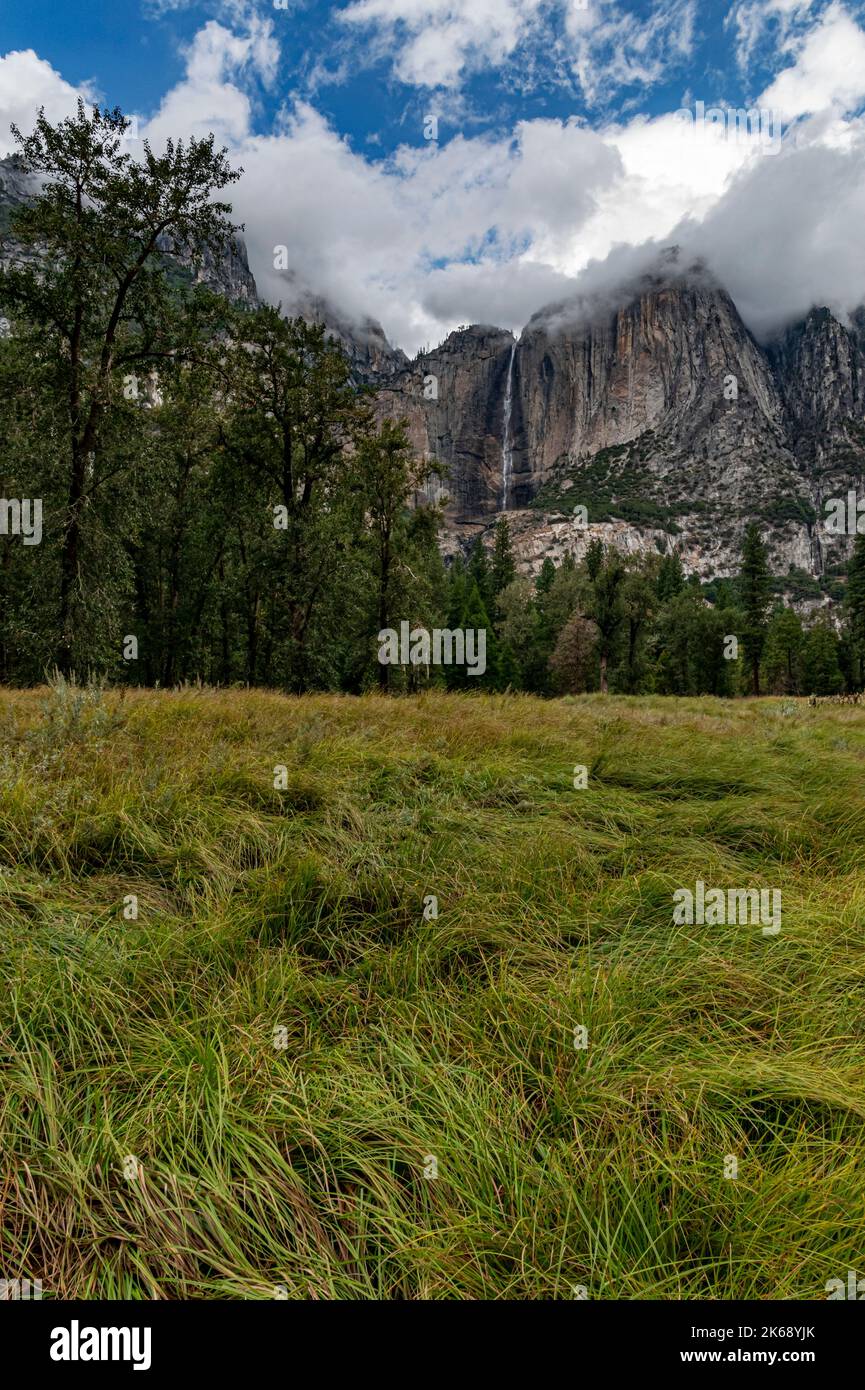 Grasses fill the valley floor along the Merced River with Yosemite ...