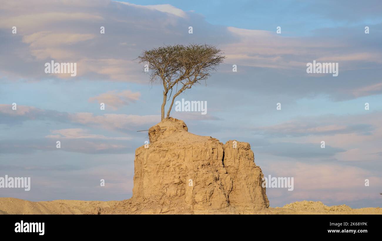 beautiful Limestone rock formations at the Umm Bab, Qatar Stock Photo ...