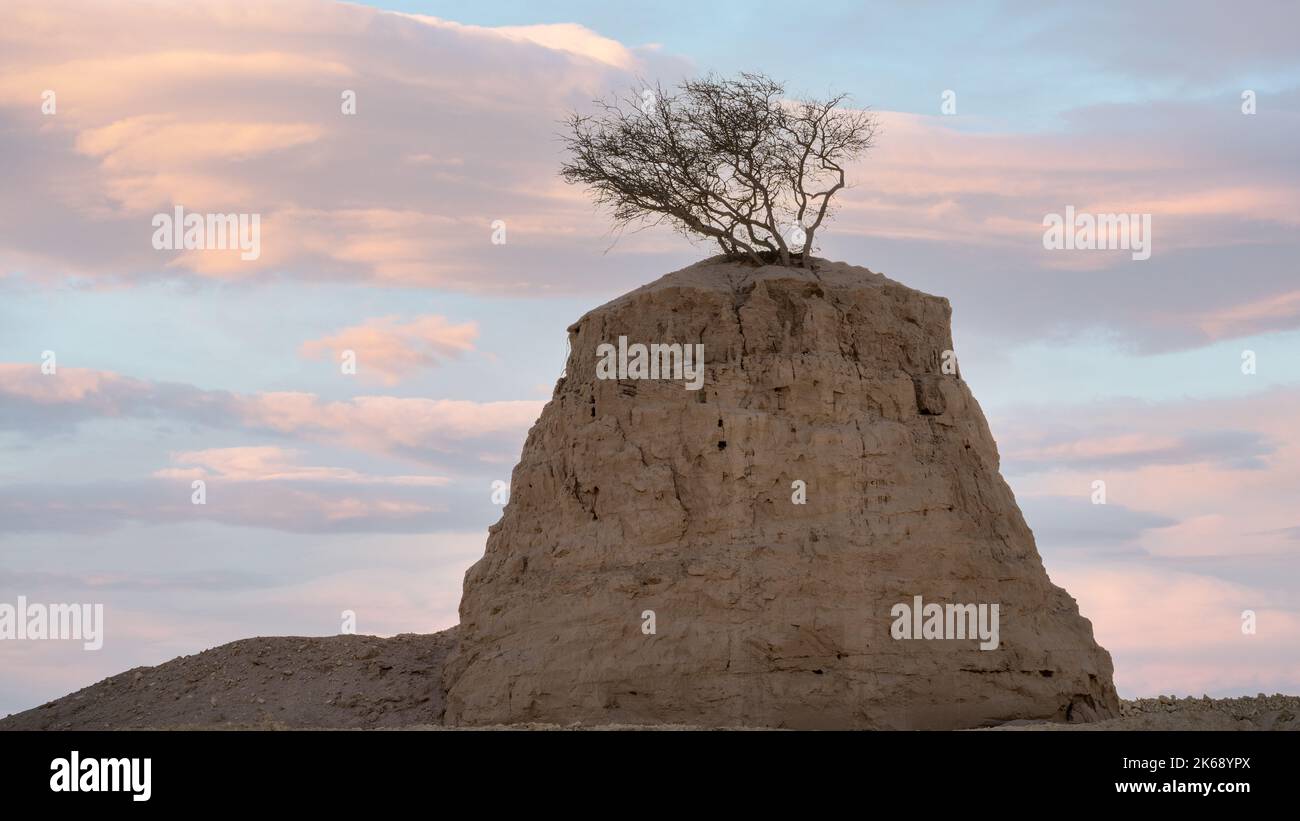 Qatar natural places hi-res stock photography and images - Alamy