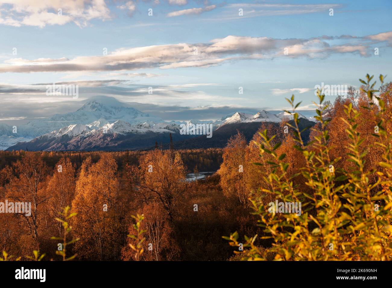 Denali Mountain, Alaska surrounded by fall colors and covered in snow ...