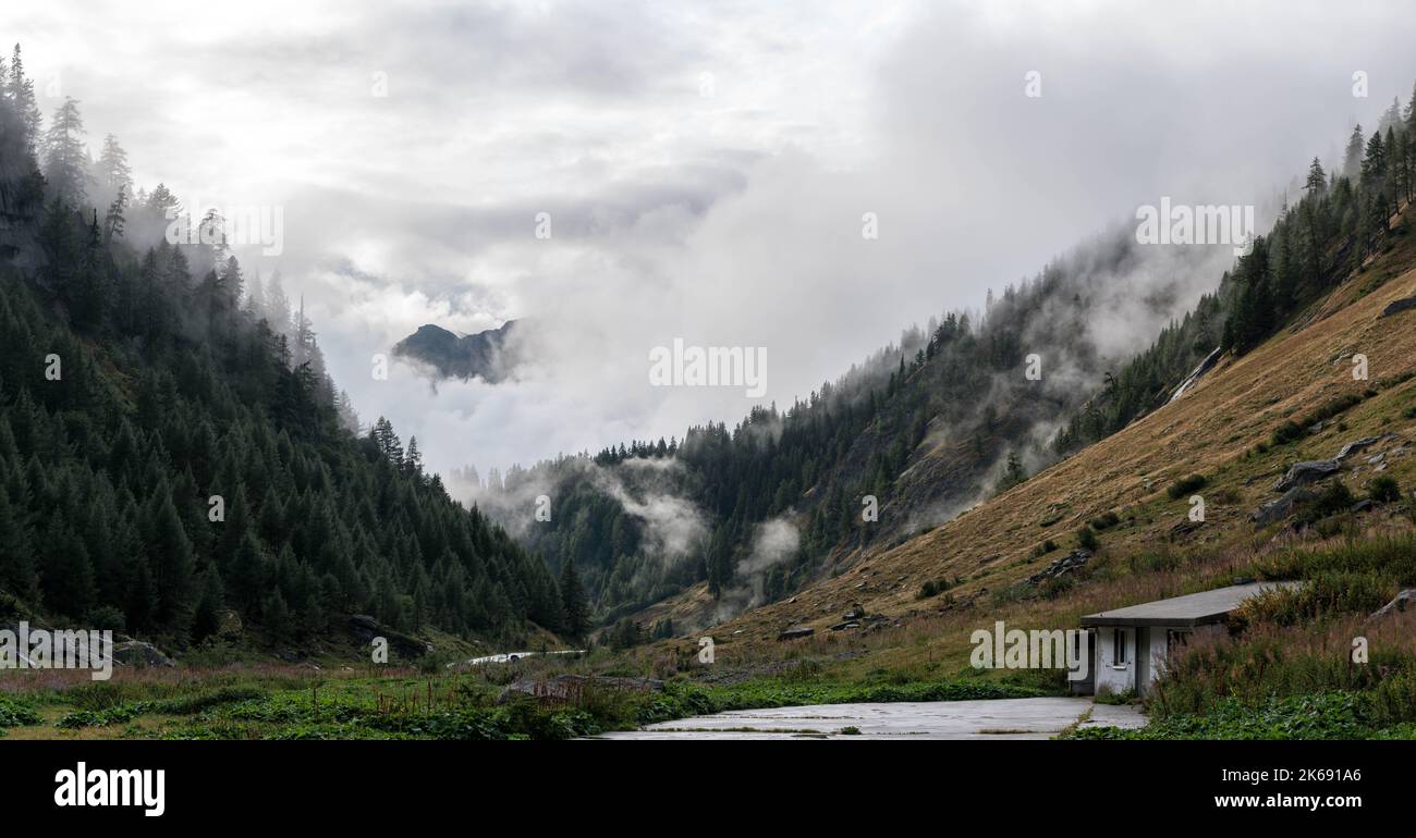 wooded mountain slope in swiss alps with fog and clouds in the morning ...