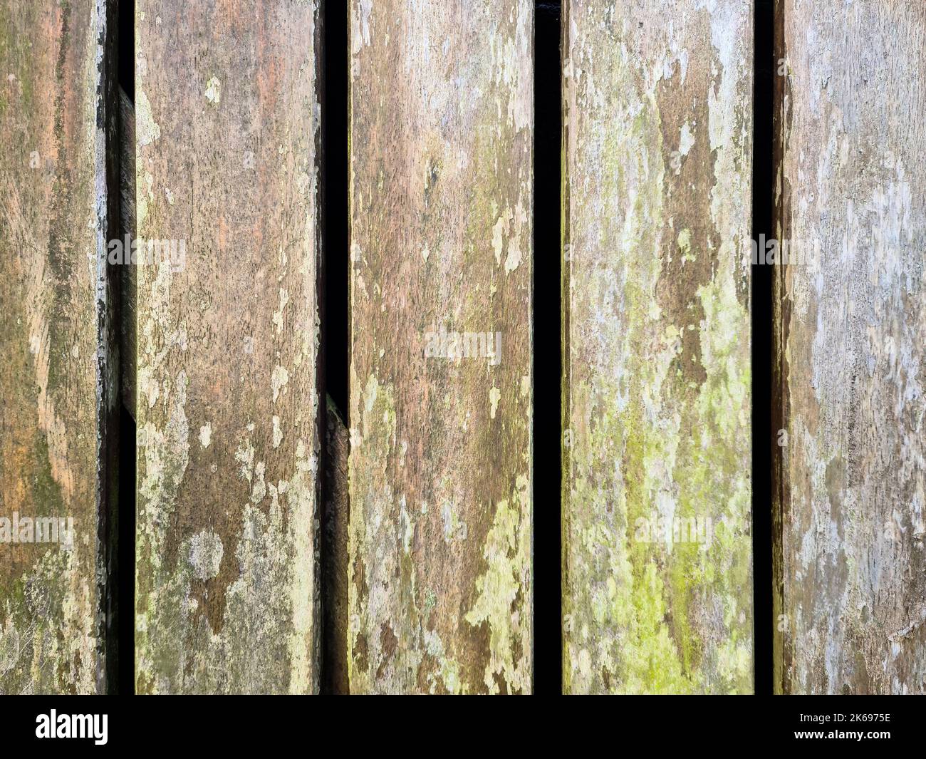 Detailed close up view on different wood surfaces showing planks logs ...