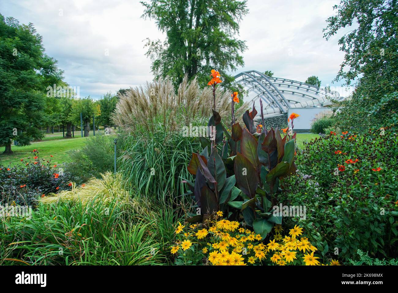 Amazing Botanical garden in Hanover and canna blossoms of orange color ...