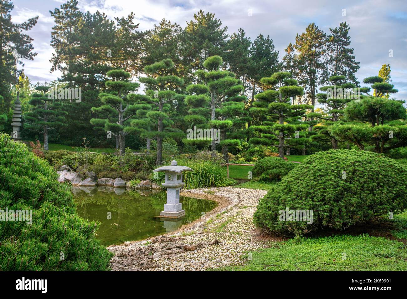 Amazing view on Japanese garden in NORDPARK in Dusseldorf with pond and topiary trees and bushes ...