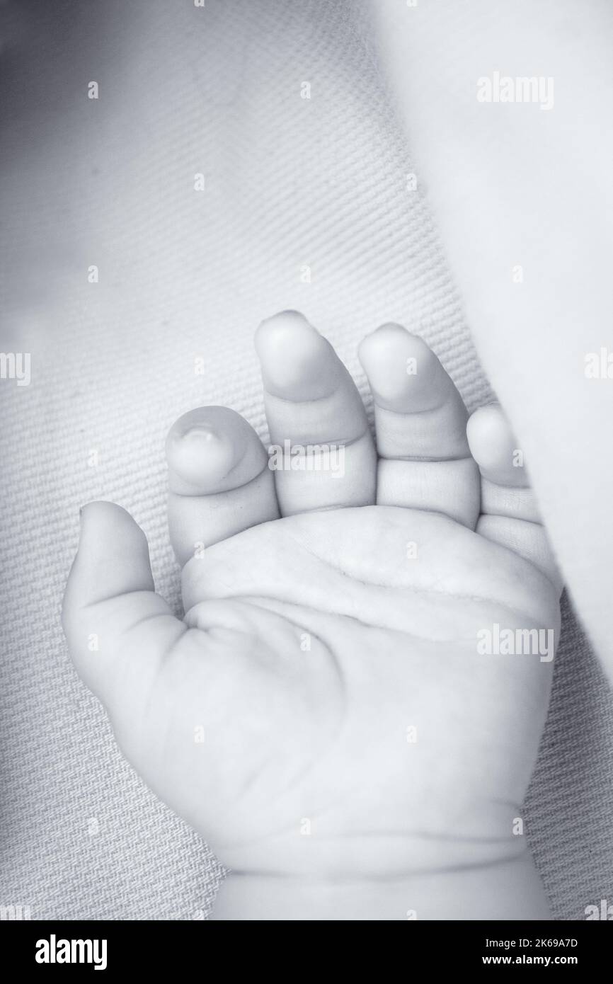 Two month old baby hand. Blue background Stock Photo - Alamy