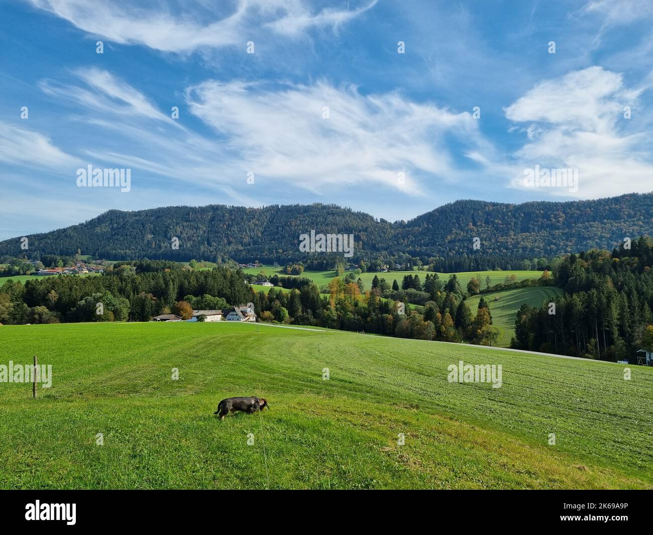 A green landscape in a mountain town Stock Photo - Alamy