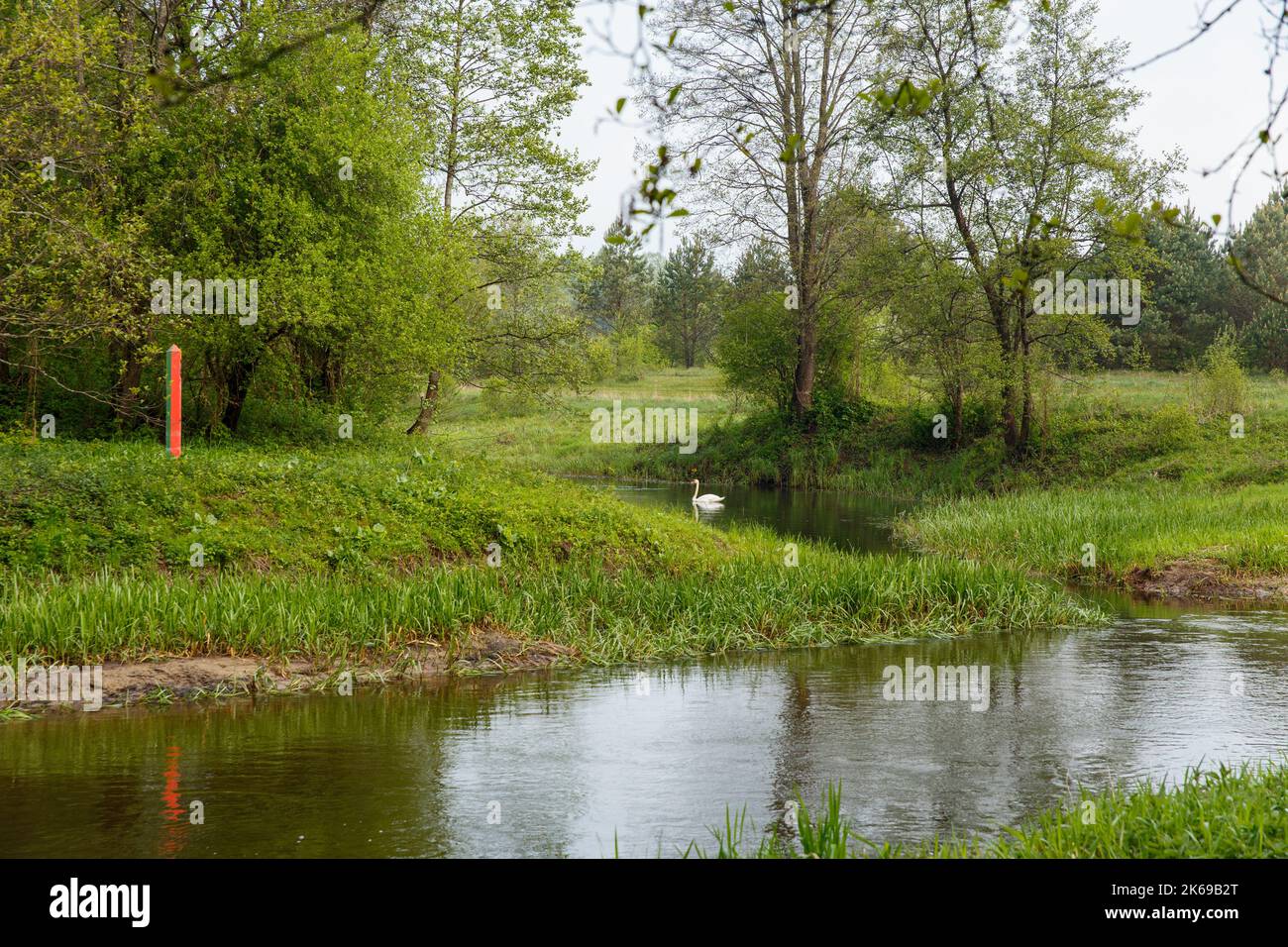 Belarussian border pole on border line between Lithuania and Belarus on ...