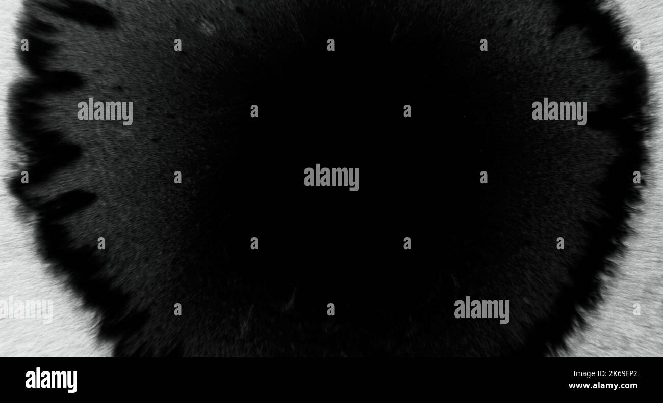 black paint spatter stain overlay ink splash blob Stock Photo - Alamy