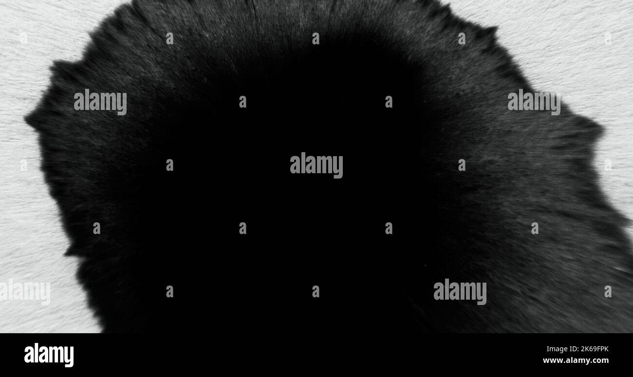 black ink splash blot overlay splatter grain noise Stock Photo - Alamy