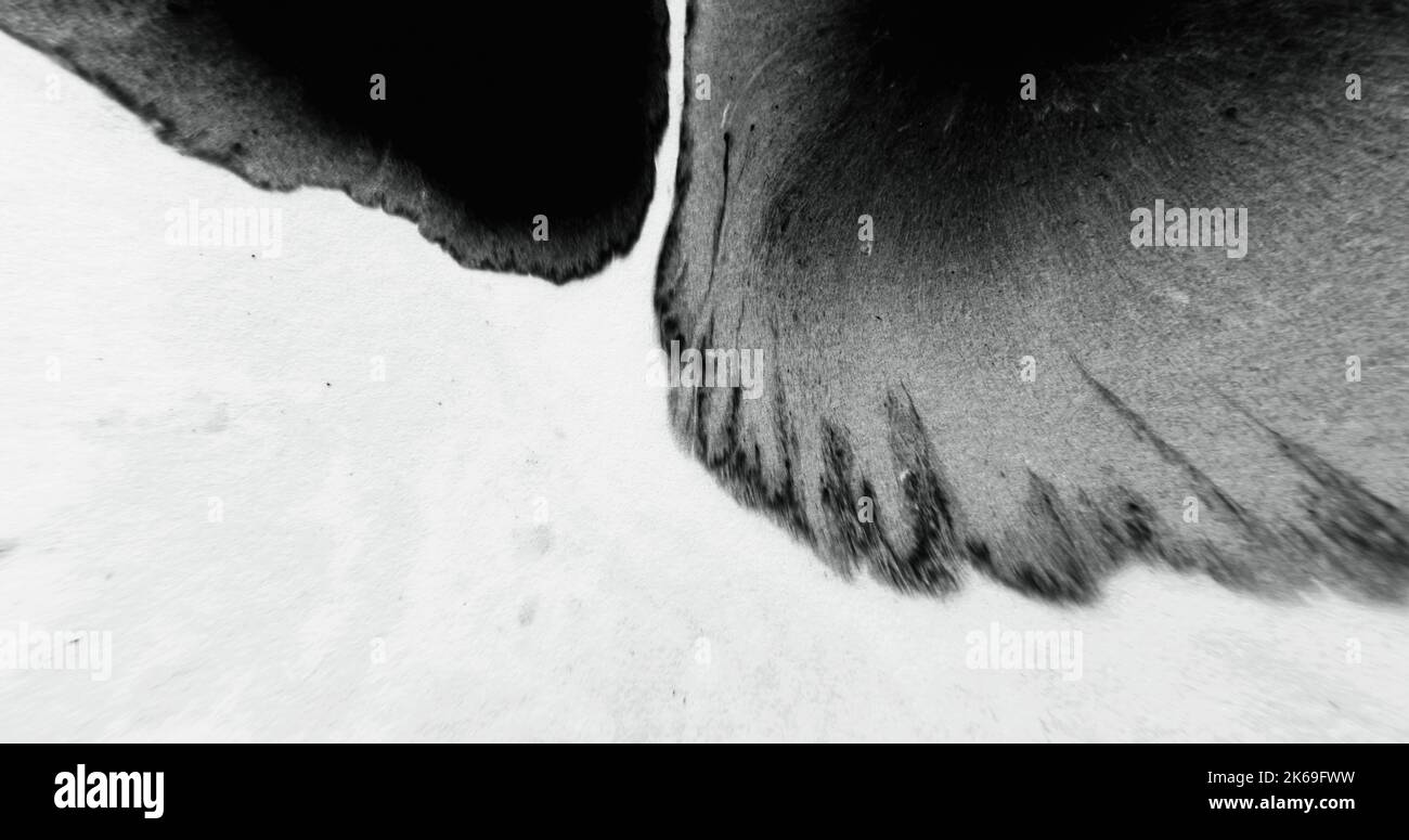 black ink splatter on white paper stain texture Stock Photo - Alamy