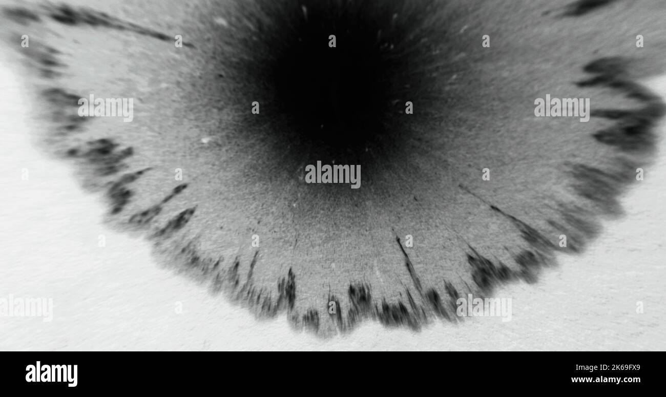black ink drop on white paper splash overlay blob Stock Photo - Alamy