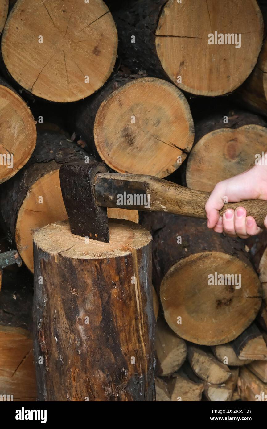 A man is chopping logs with an axe on chopping block. Harvesting of ...