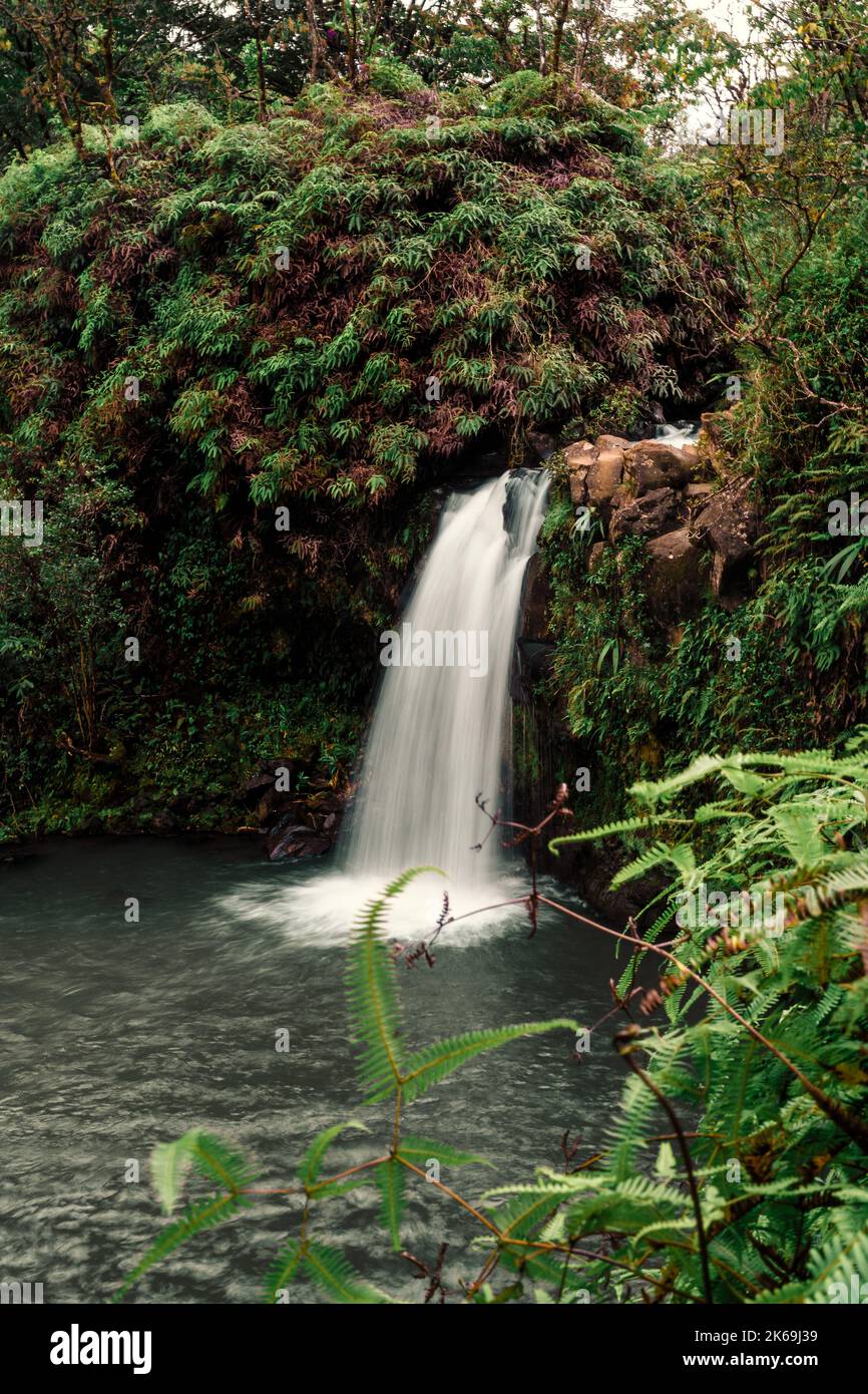 A vertical of the mesmerizing Pua'a Ka'a state Wayside, a waterfall ...
