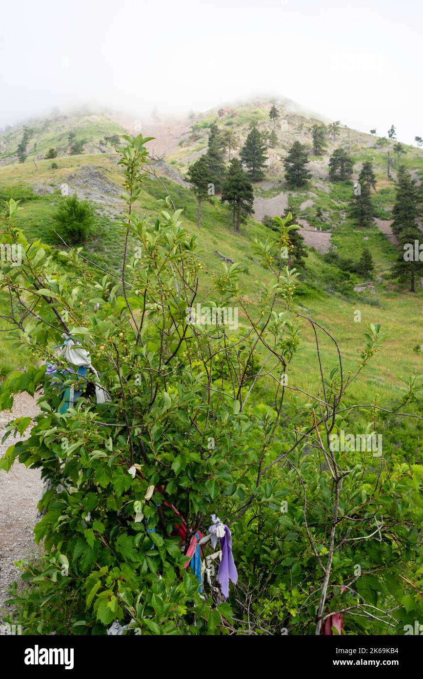 Paha Sapa/Bear Butte, a sacred site for Sioux Native Americans/Indians ...