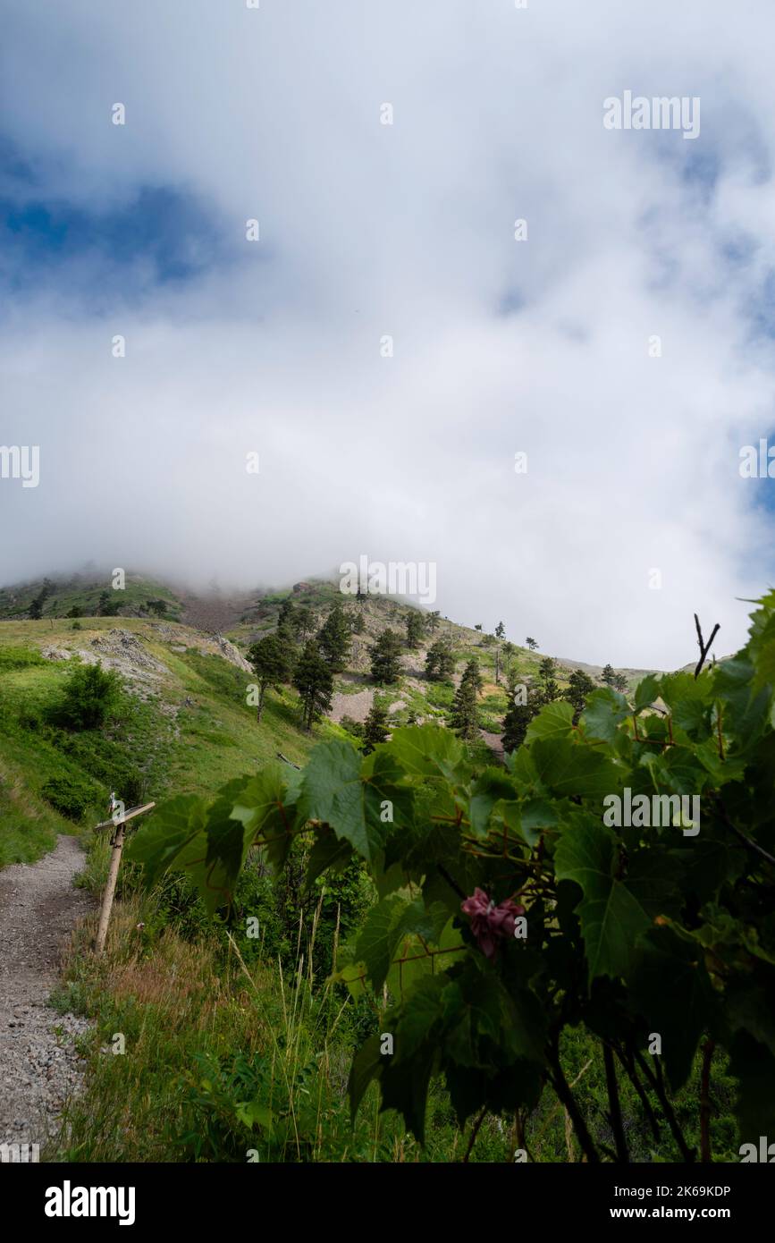 Paha Sapa/Bear Butte, a sacred site for Sioux Native Americans/Indians ...