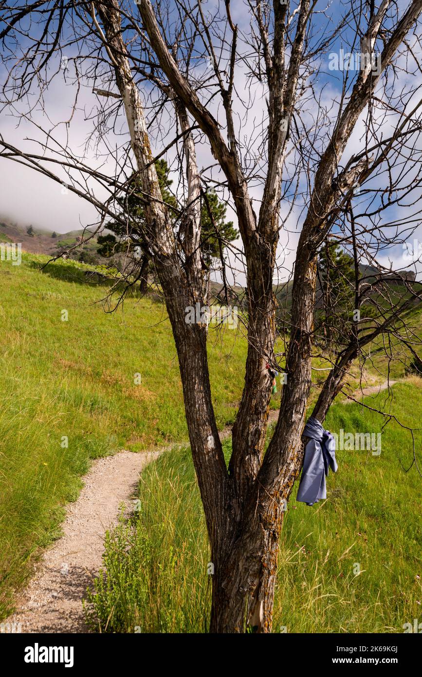 Paha Sapa/Bear Butte, a sacred site for Sioux Native Americans/Indians ...
