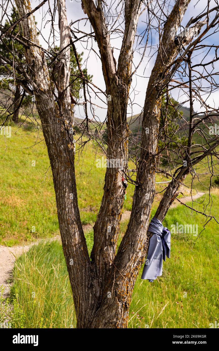 Paha Sapa/Bear Butte, a sacred site for Sioux Native Americans/Indians ...