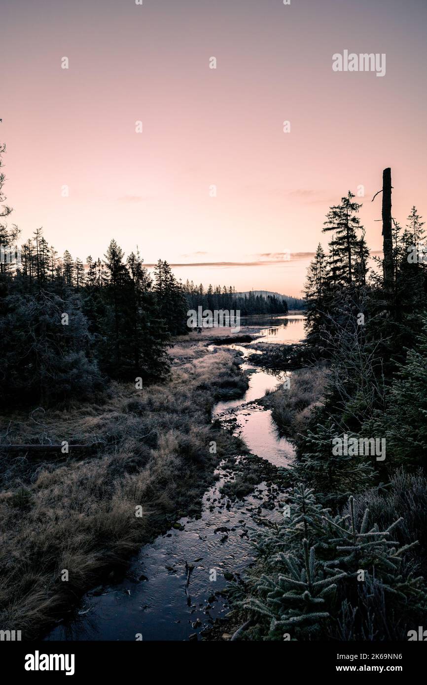 A scenic view of the sunset over a wetland surrounded by trees Stock ...