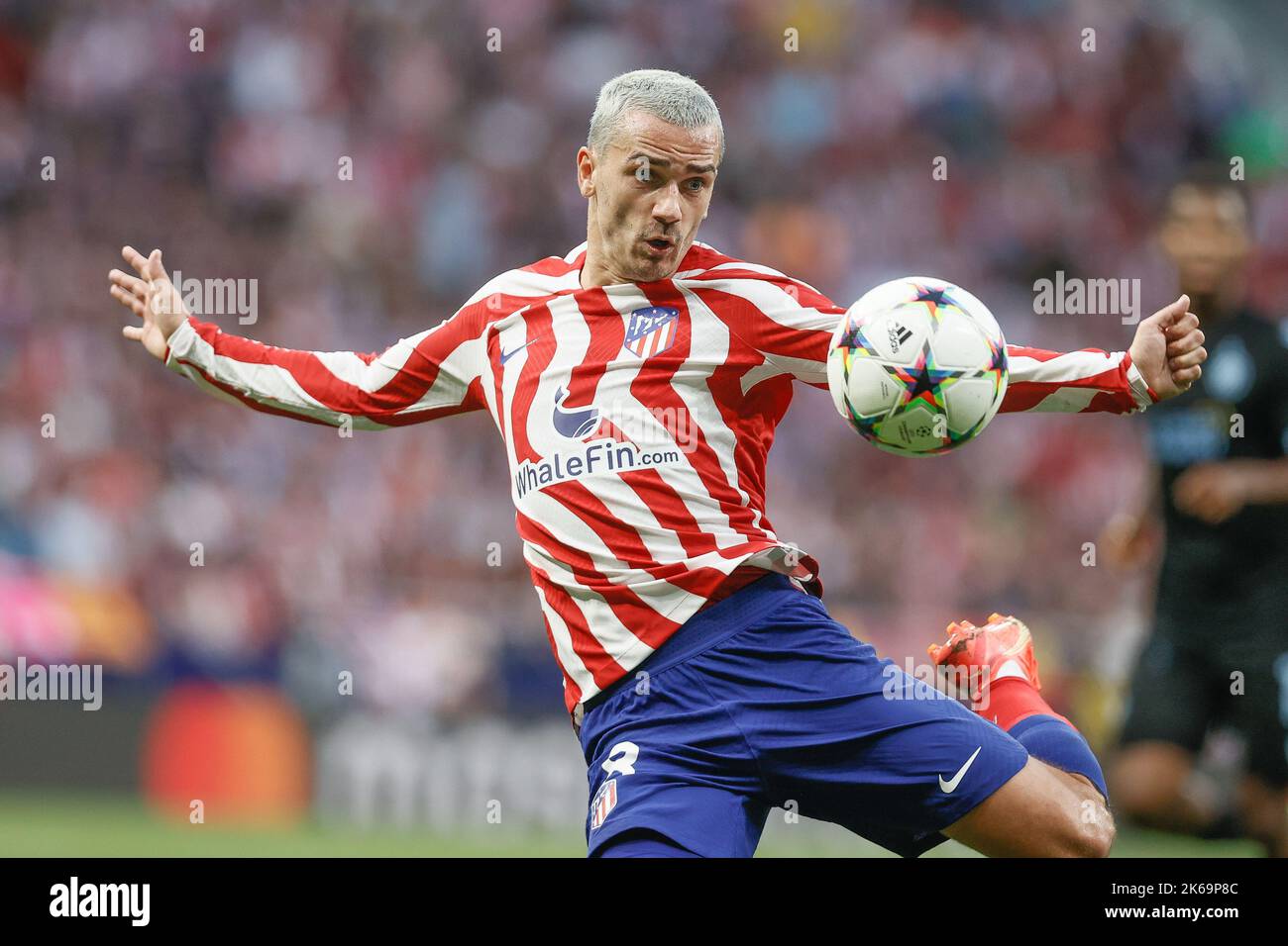 Atletico's Antoine Griezmann pictured in action during a group stage ...