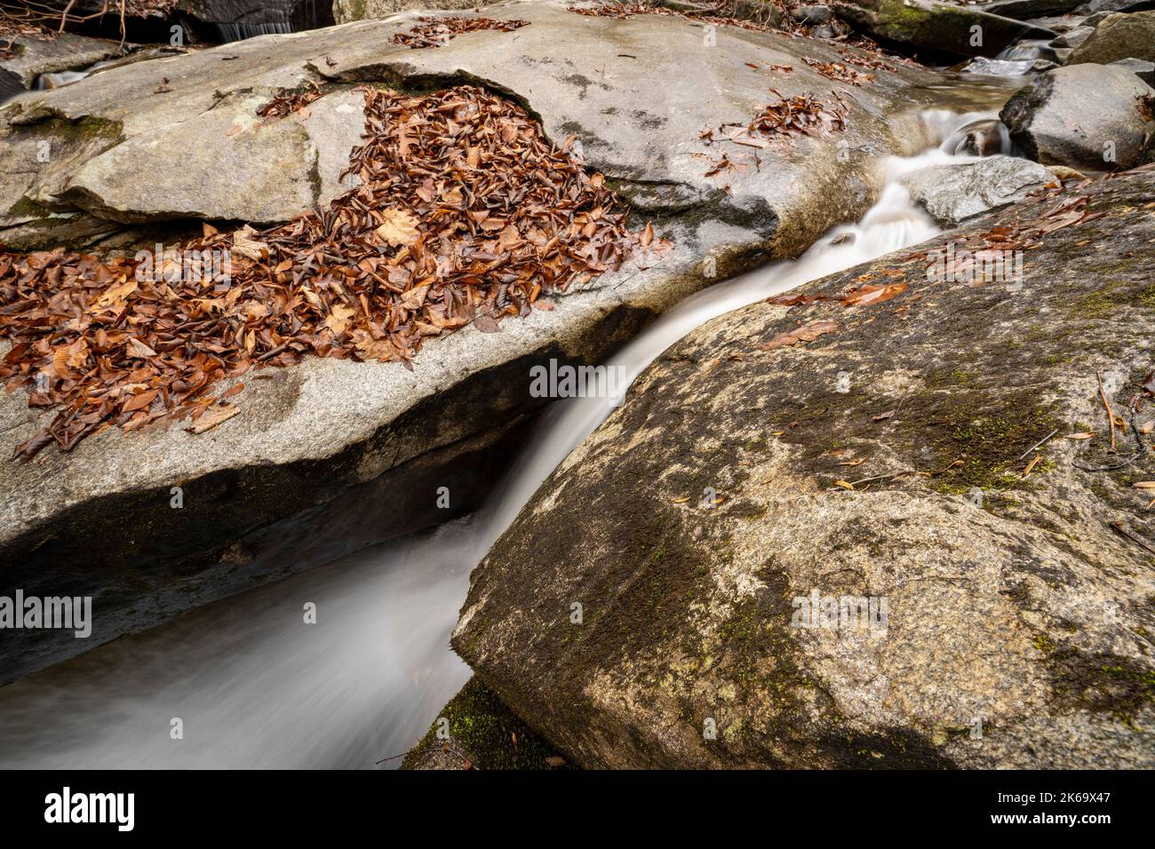 water cascade, leaves, rocks Stock Photo - Alamy