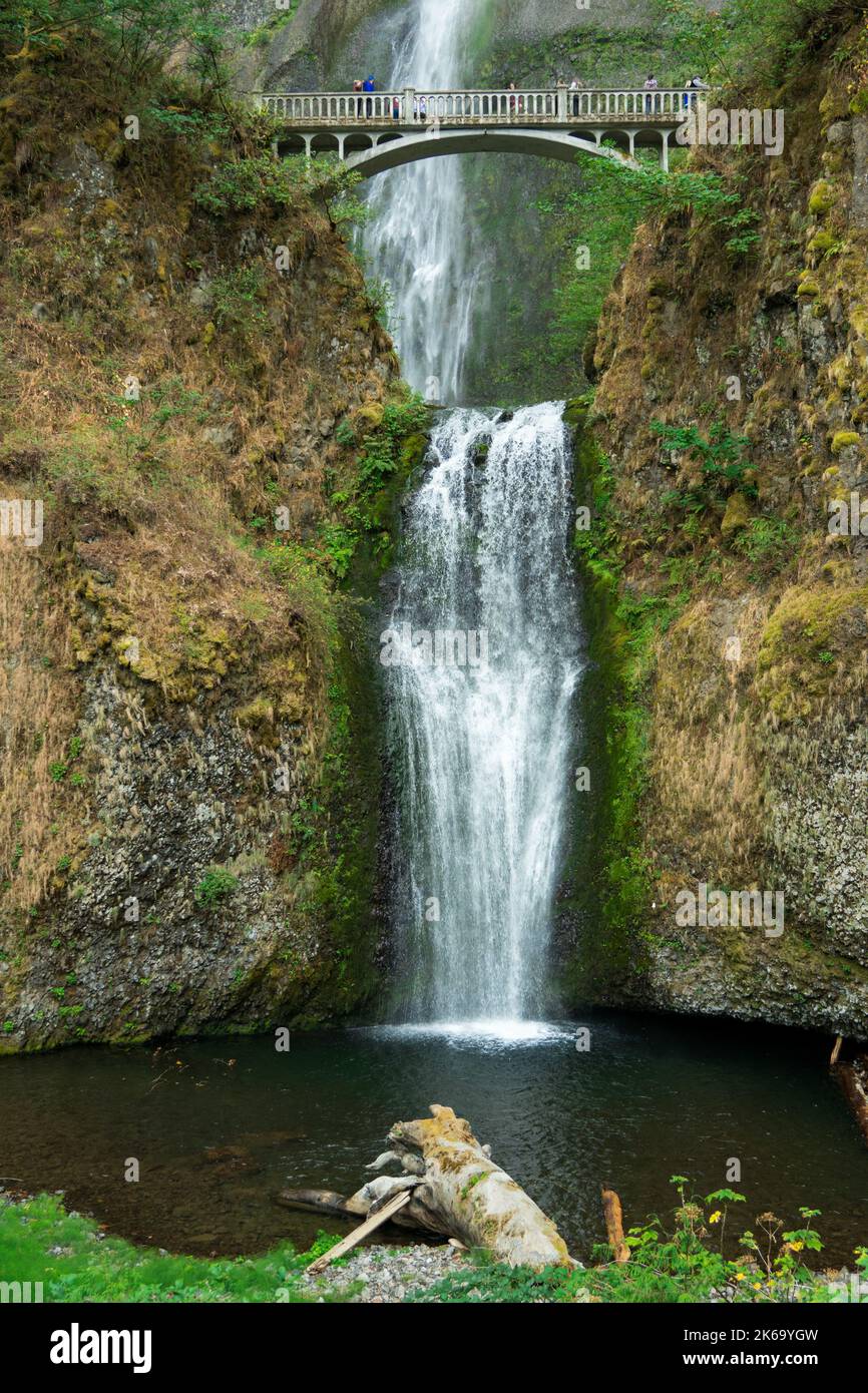 Multnomah Waterfalls with Benson Bridge in Columbia River Gorge, Oregon ...