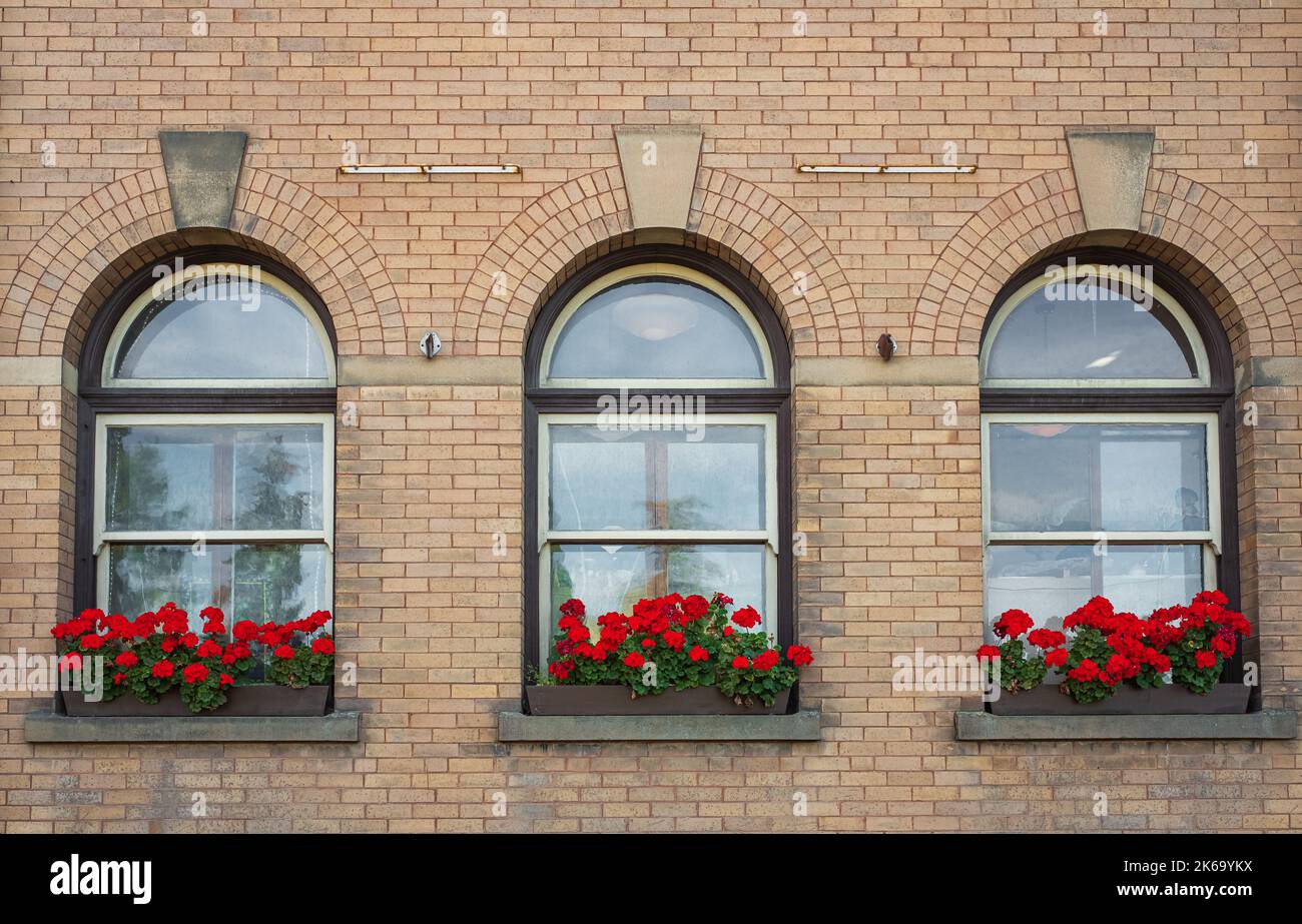 Three vintage windows with stone frames and flowers on shelf. Three ...