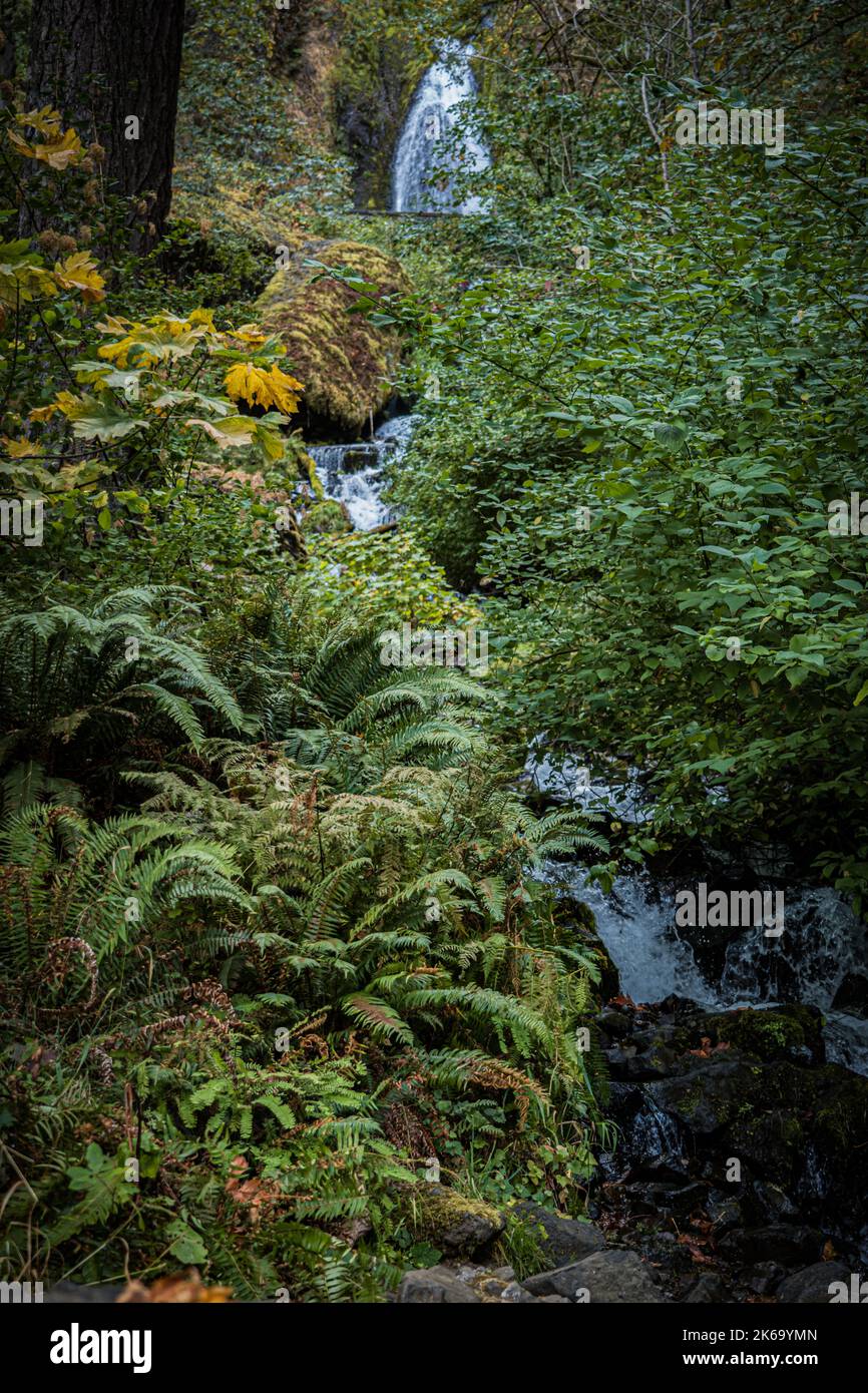 Columbia river highway scenery hi-res stock photography and images - Alamy