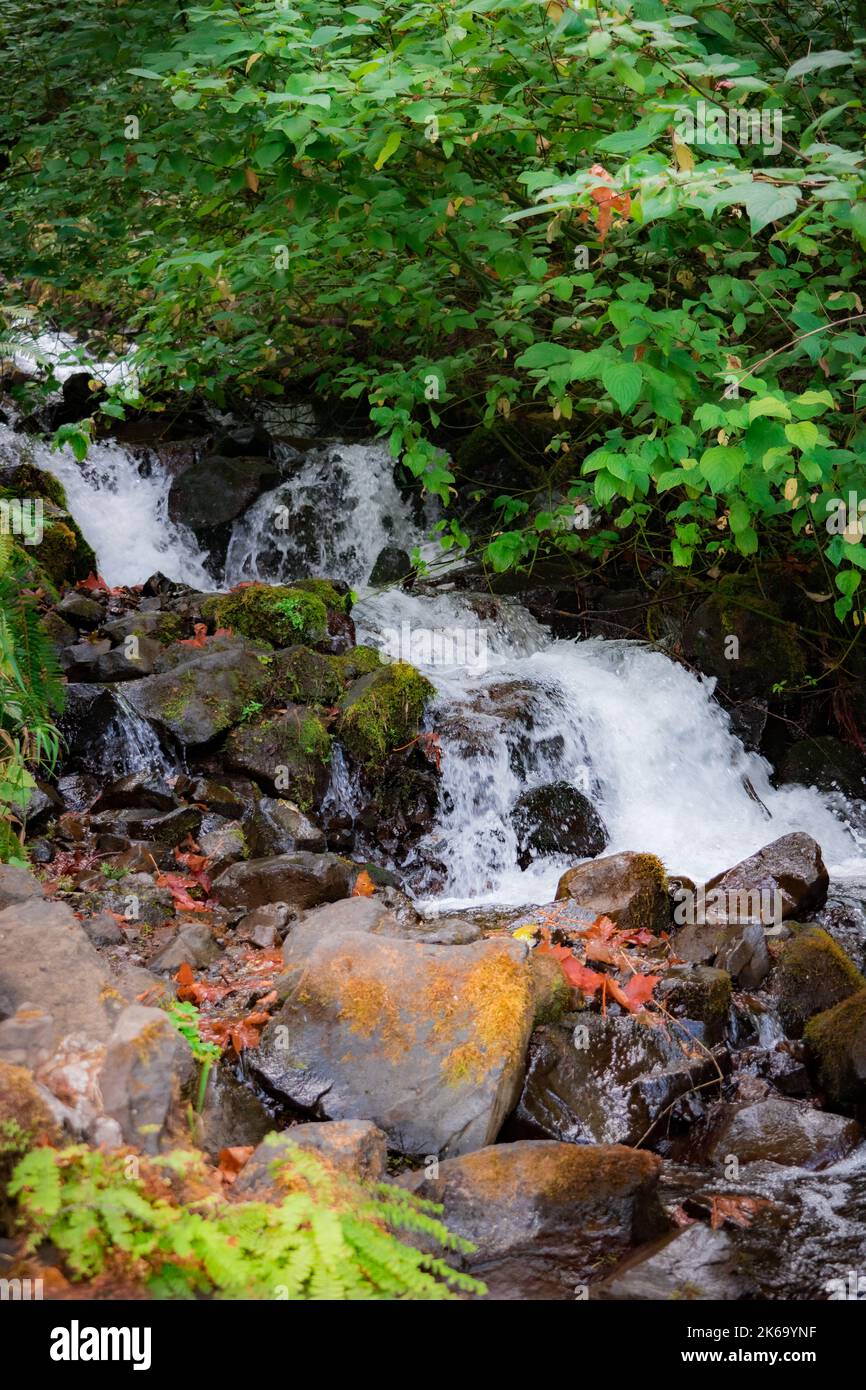 Waterfall Corridor in Columbia River Gorge, Oregon Stock Photo - Alamy