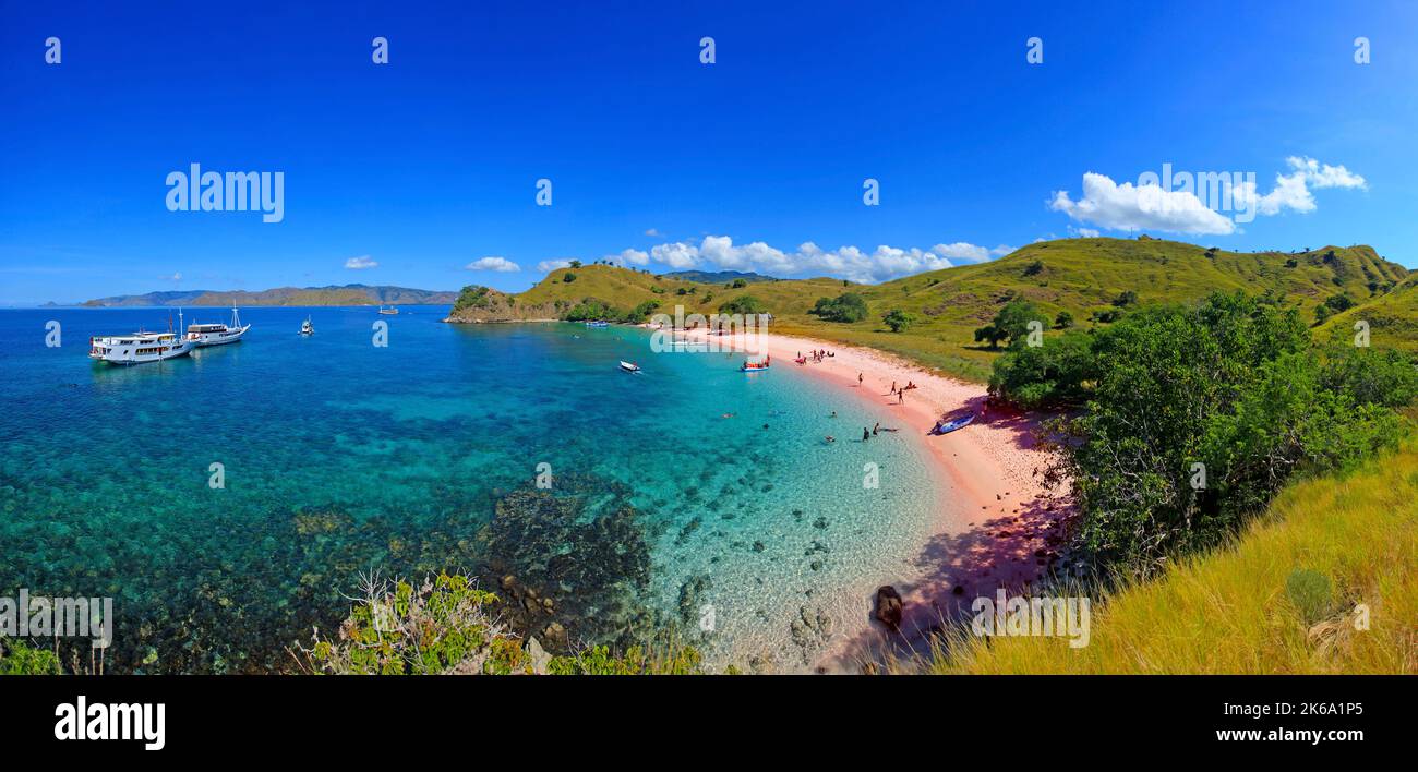 Pink beach flores hi-res stock photography and images - Alamy