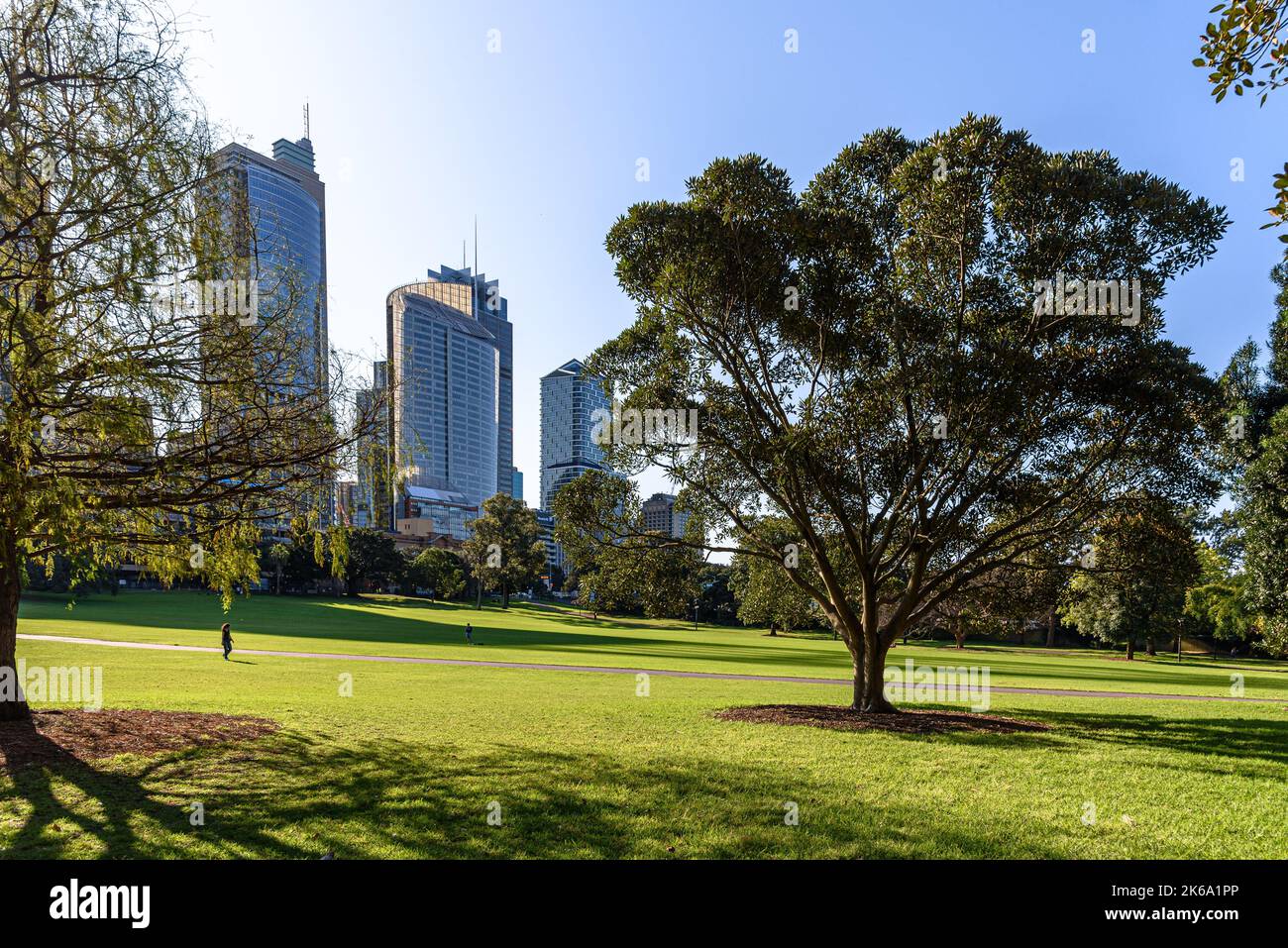 Skyscrapers behind a manicured lawn in the Philip Precinct of the ...