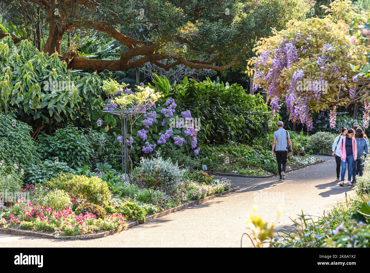 People walking on a path in the Royal Botanic Garden in Sydney ...