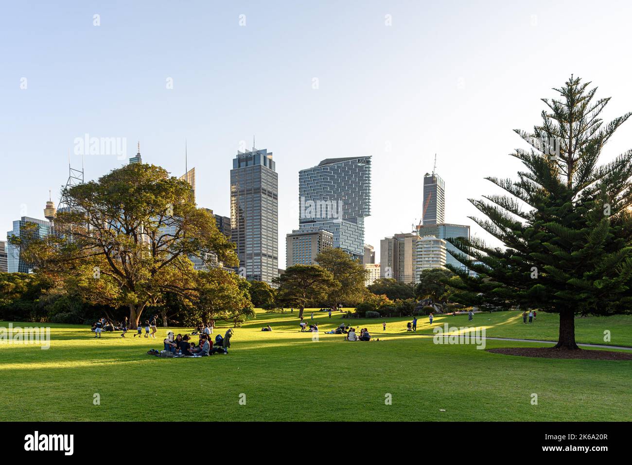 People sitting on the lawn of the Parade Ground in the Royal Botanic ...