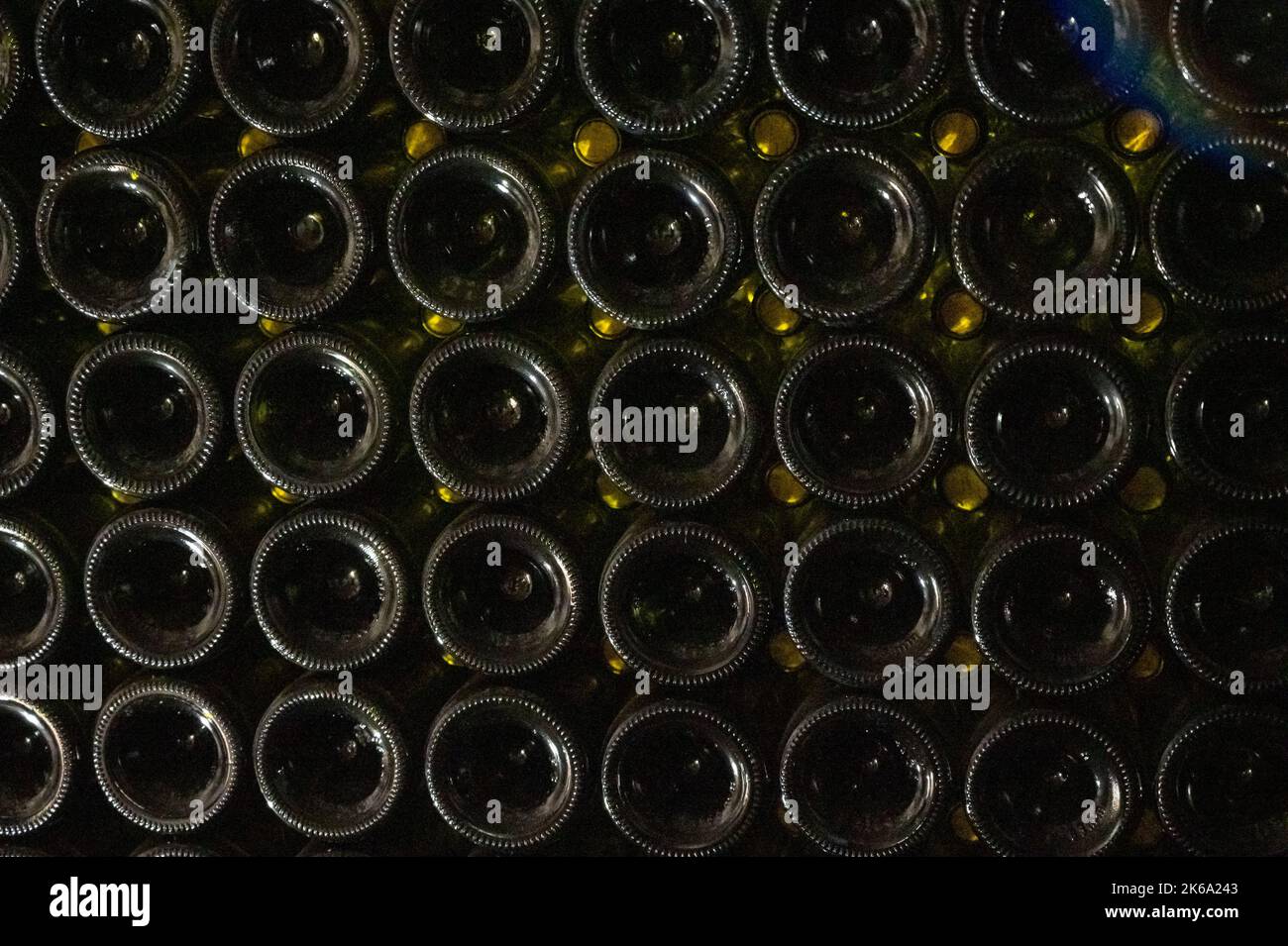 Stages of wine production from fermentation to bottling, visit to wine ...