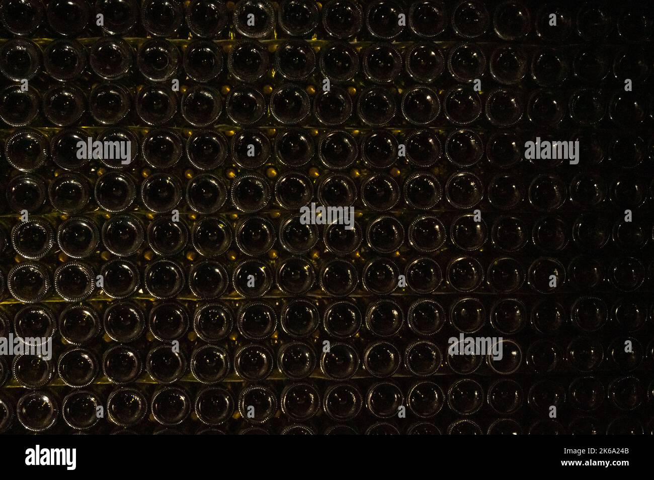 Stages of wine production from fermentation to bottling, visit to wine ...