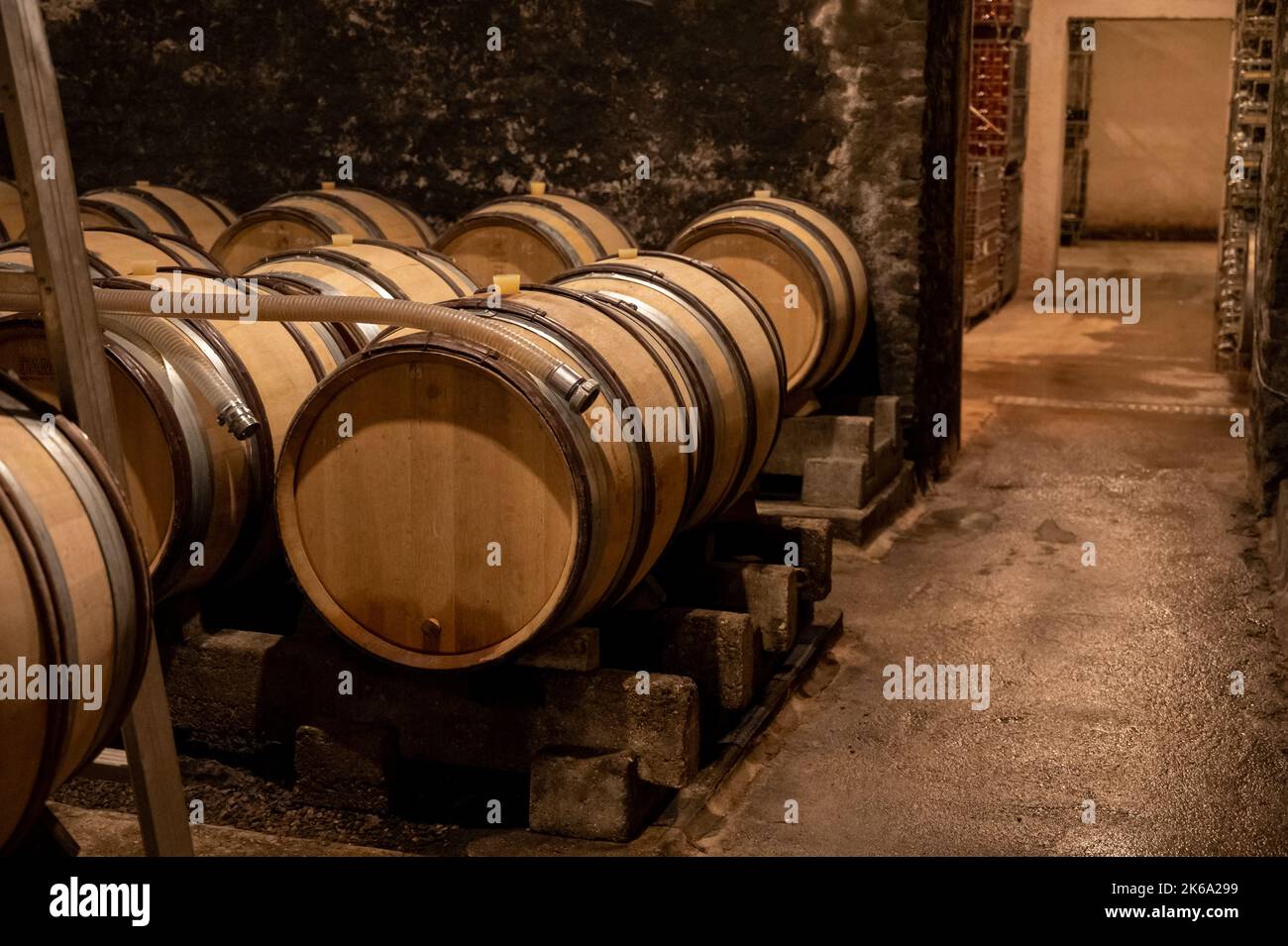 Winemaking stages hi-res stock photography and images - Alamy