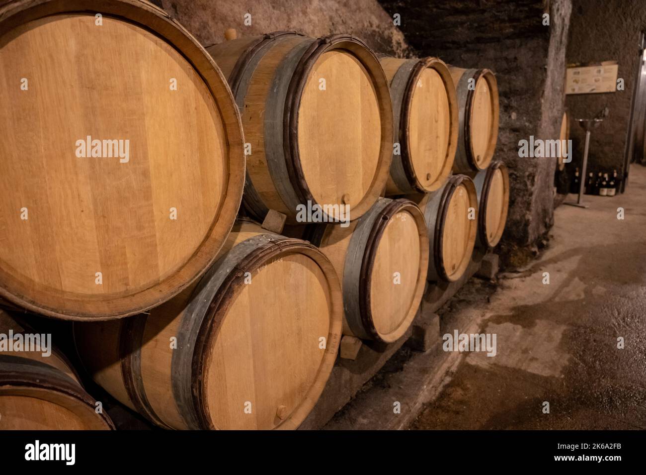 Stages of wine production from fermentation to bottling, visit to wine ...