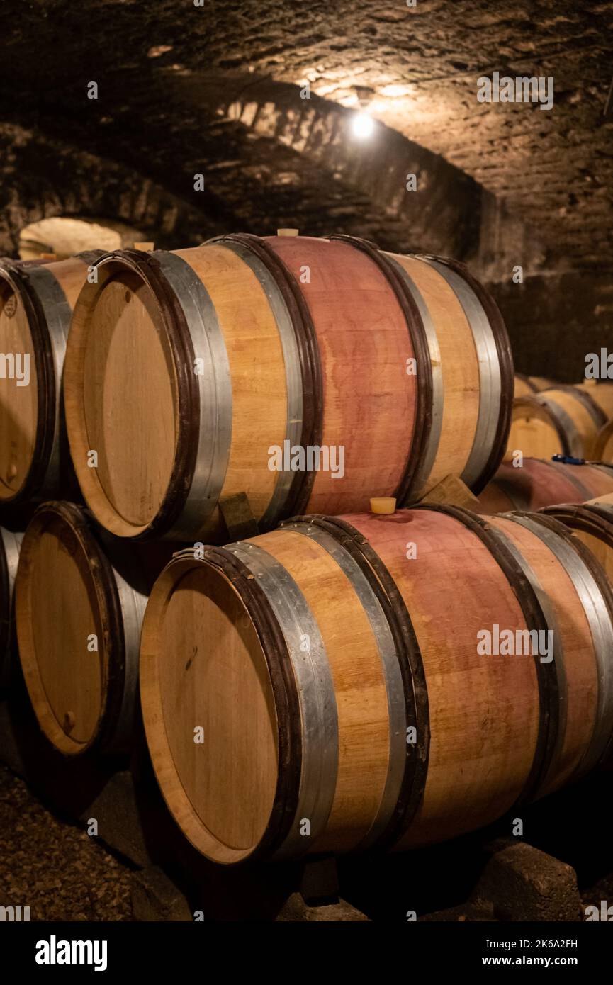 Stages of wine production from fermentation to bottling, visit to wine ...