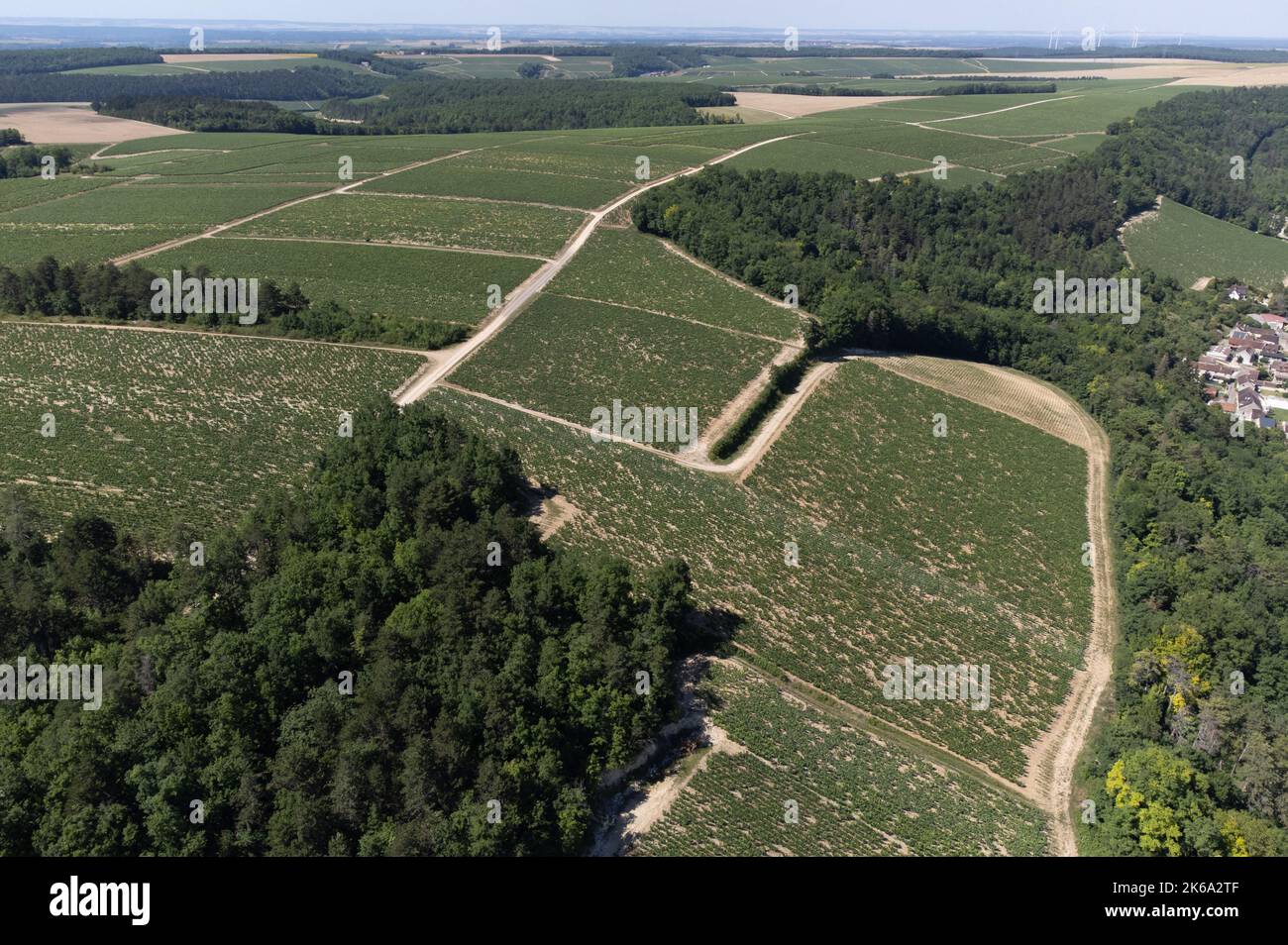 Aerial view on green Chablis Grand Cru appellation vineyards with ...