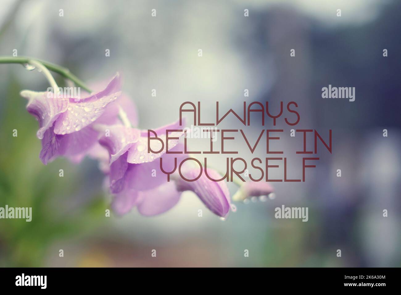 Inspirational quotes on nature background. ALWAYS BELIEVE IN YOURSELF ...
