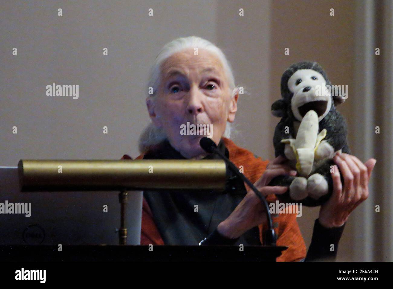 Dr jane goodall monkey hi-res stock photography and images - Alamy