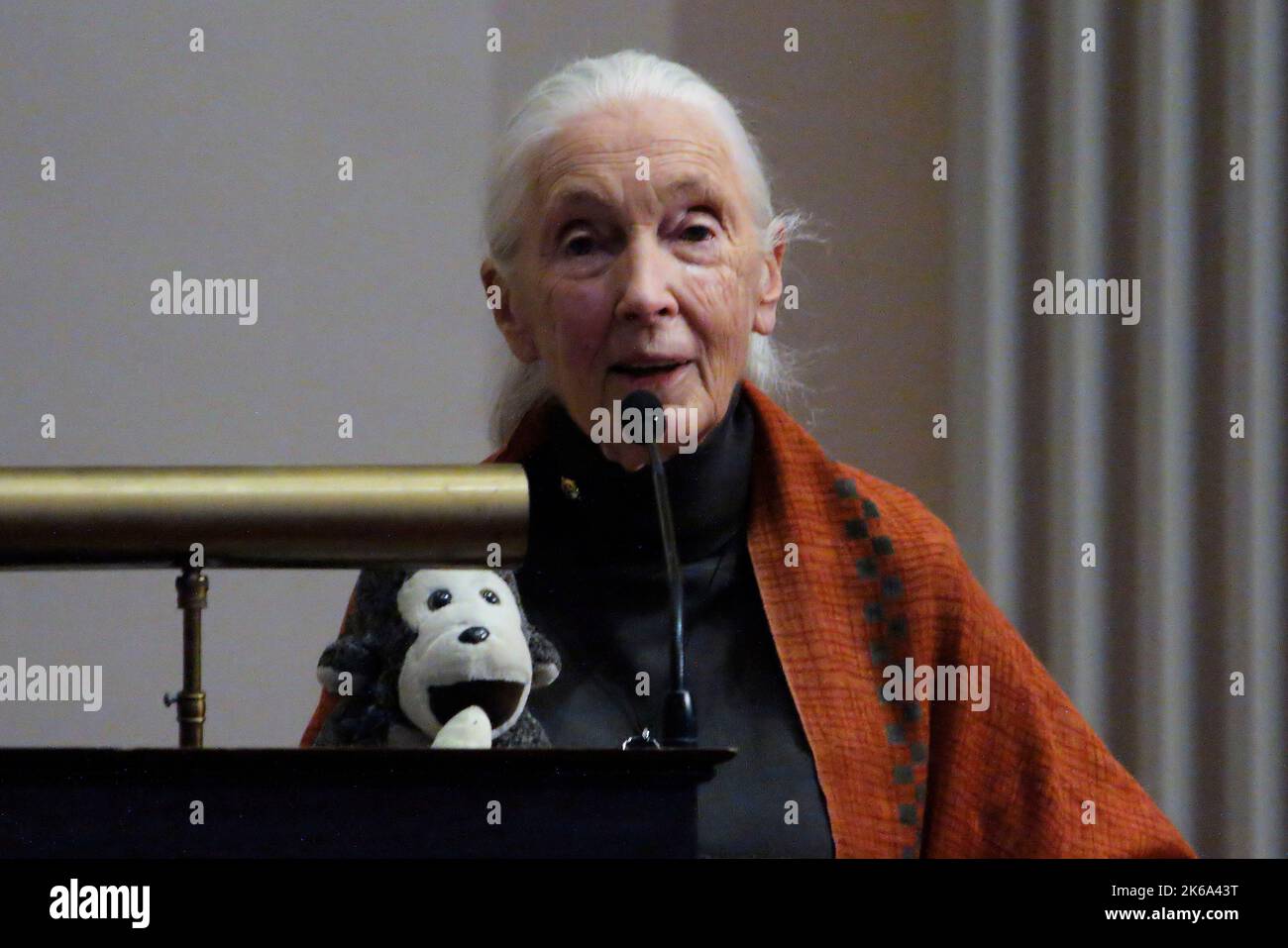Dr jane goodall hi-res stock photography and images - Alamy