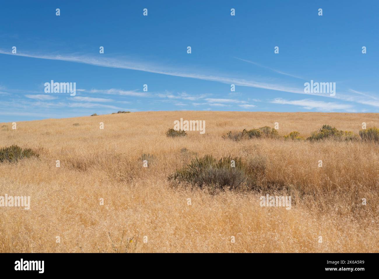 Minimalistic view of grass covered hill under a deep blue sky Stock ...