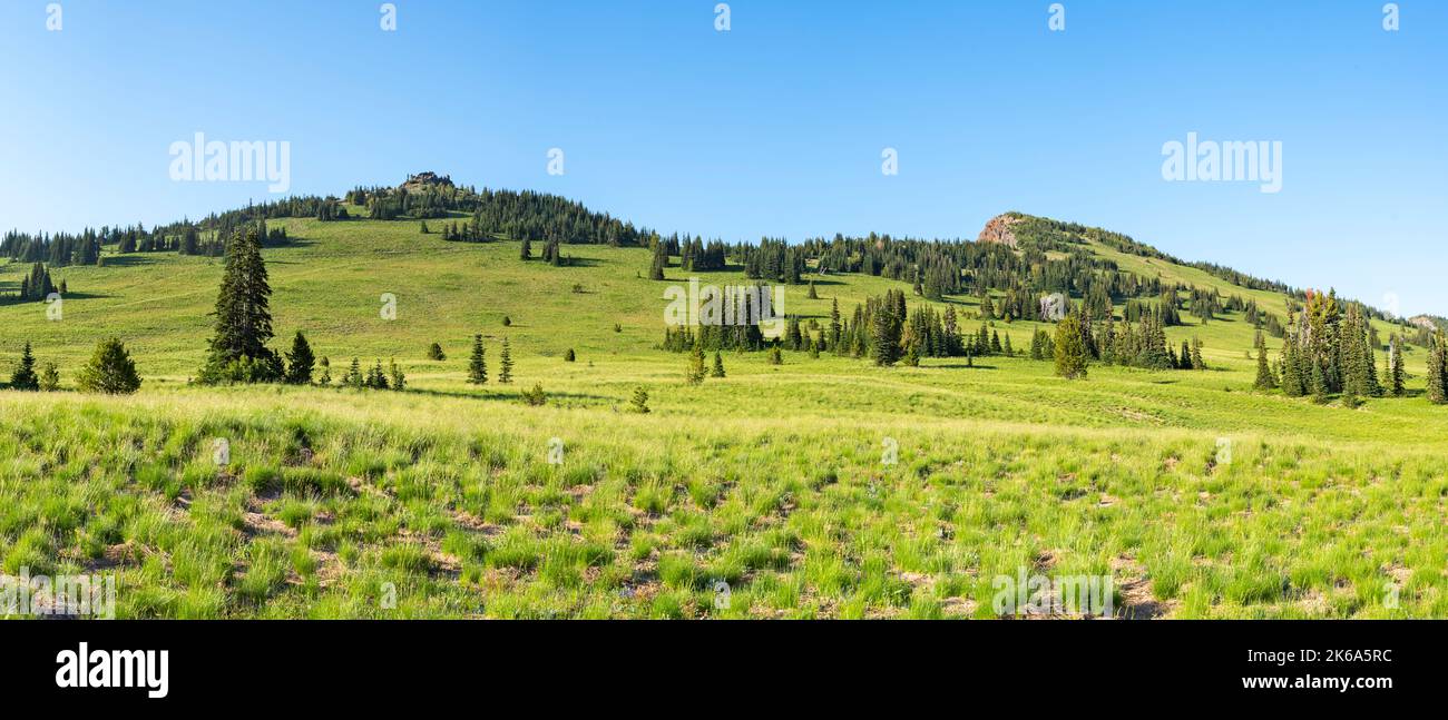 Luscious landscape hi-res stock photography and images - Alamy