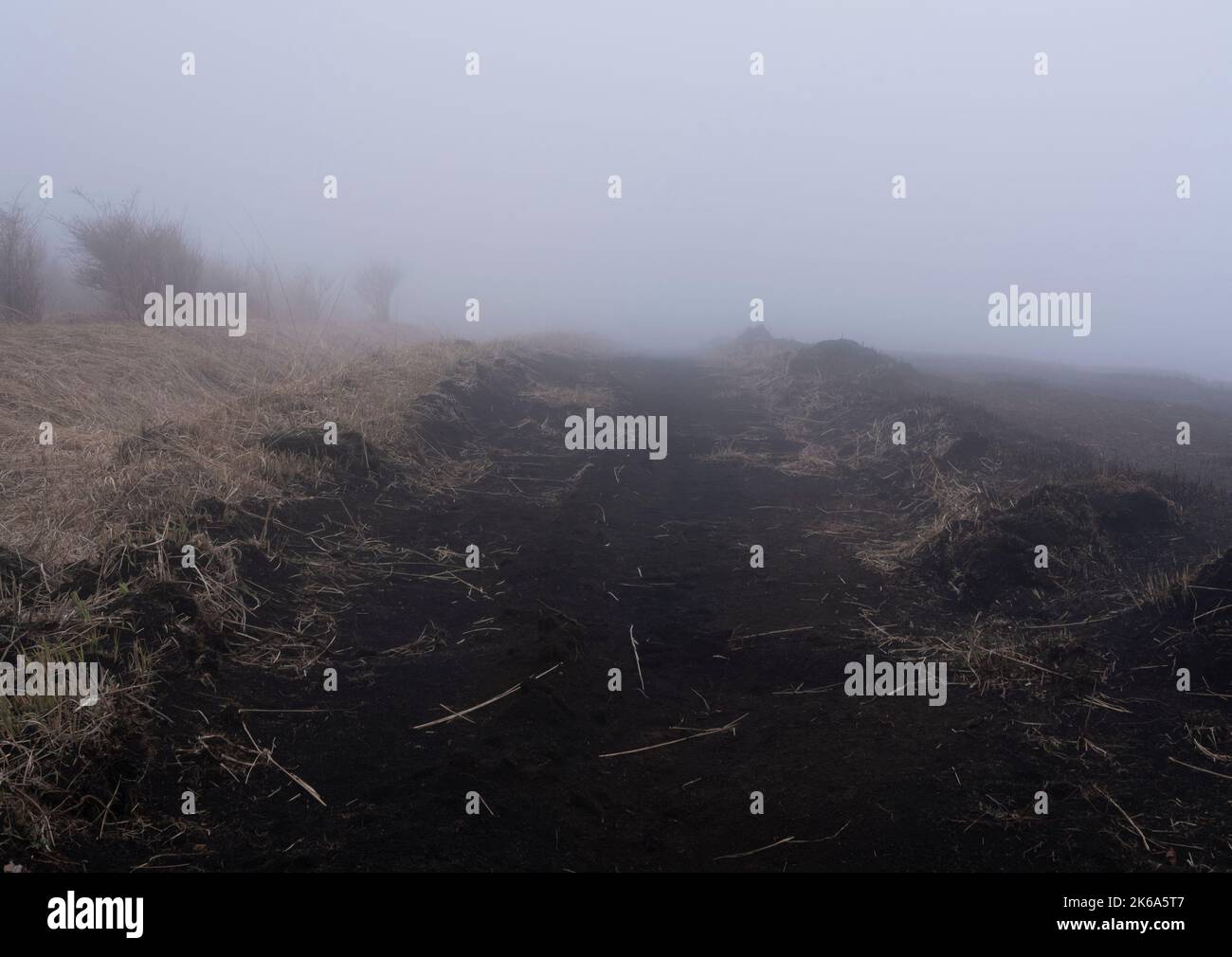Foggy dark earth sloped path littered with straw Stock Photo - Alamy