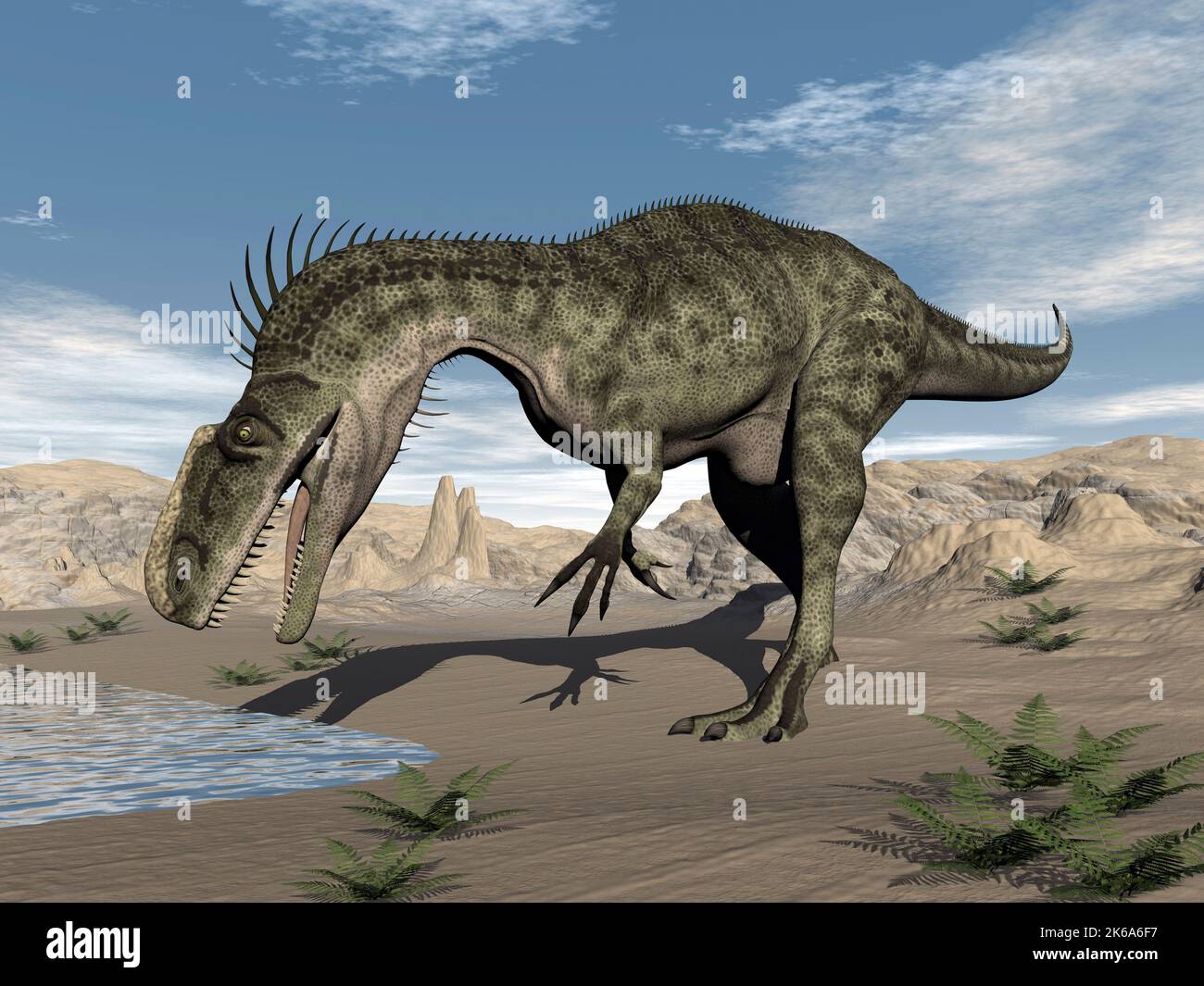 Monolophosaurus dinosaur drinking water in the desert Stock Photo - Alamy