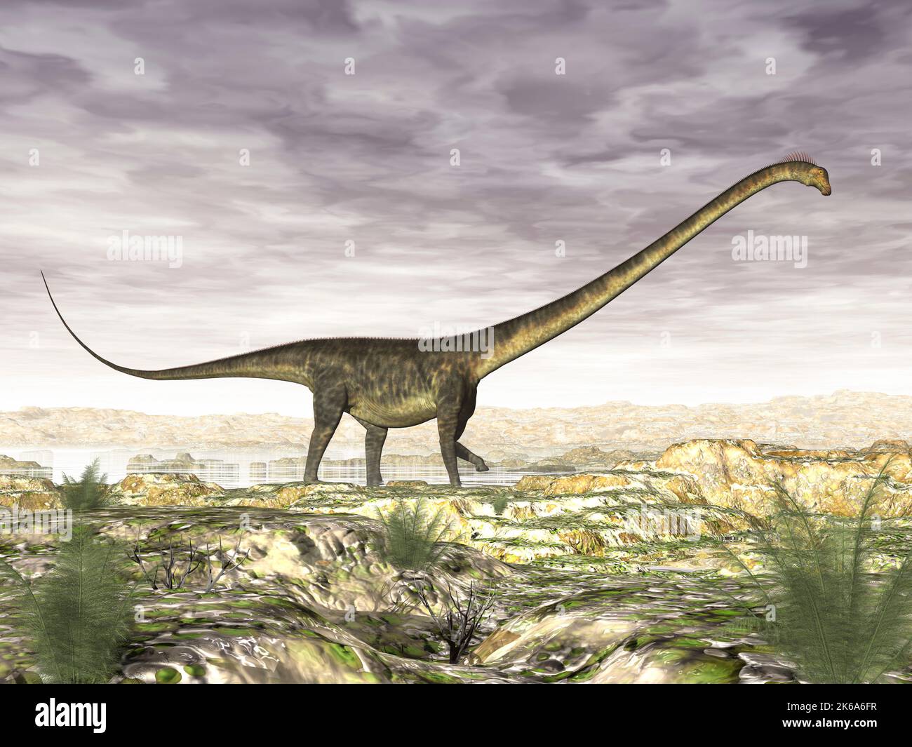 Barosaurus dinosaur walking in the desert on a cloudy day Stock Photo ...