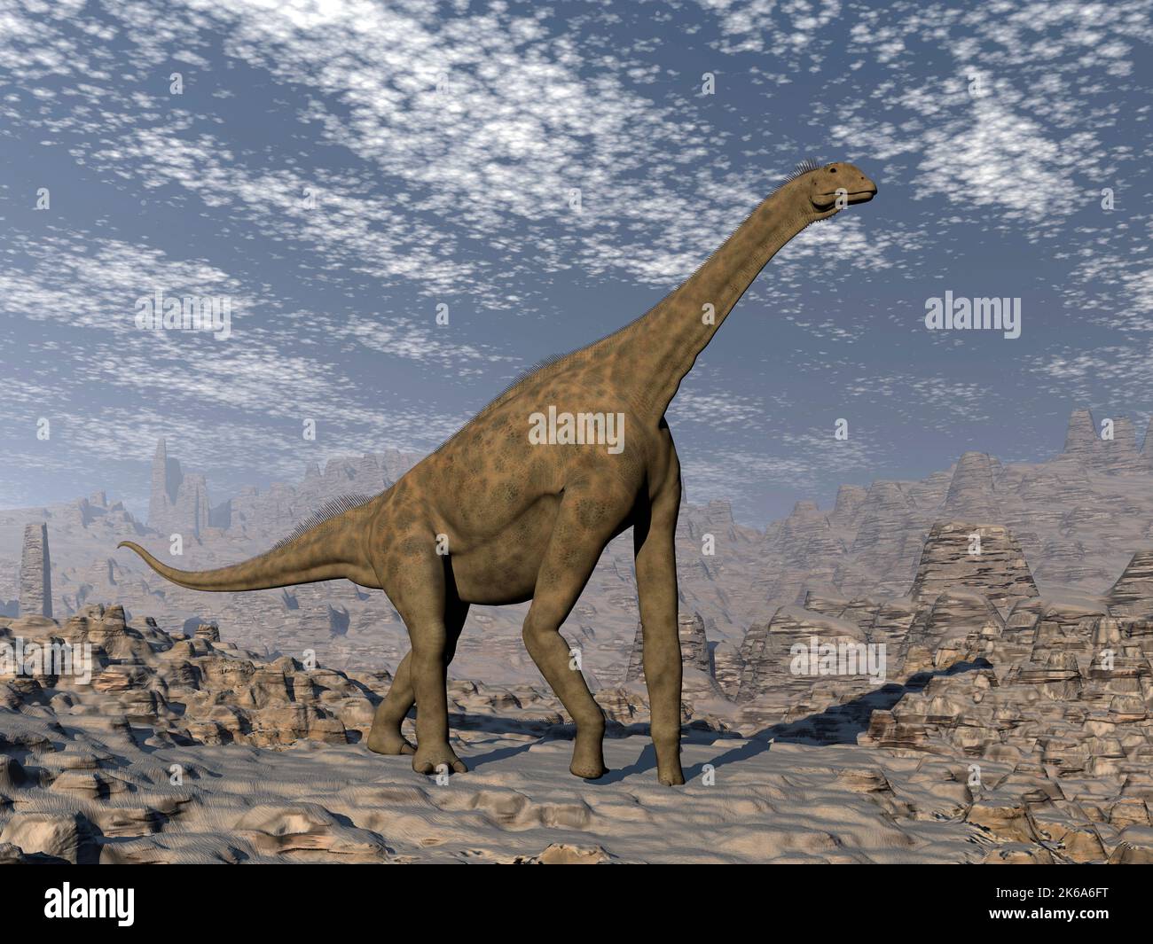 Atlasaurus dinosaur walking on rough terrain Stock Photo - Alamy