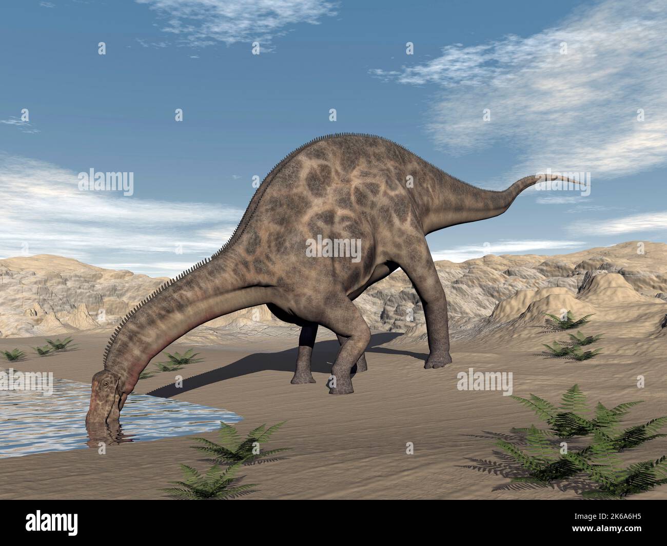 Dicraeosaurus dinosaur drinking water in the desert Stock Photo - Alamy