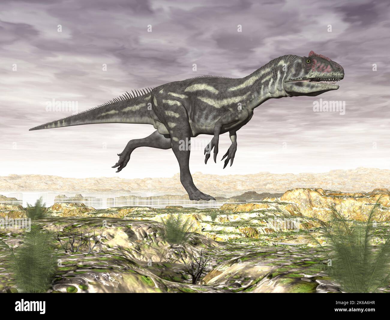 Allosaurus dinosaur running in the desert on a cloudy day Stock Photo ...